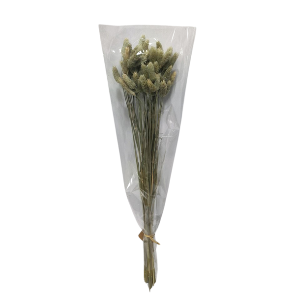 DF-7071 - Natural Jewel Grass – Collins Painting & Design